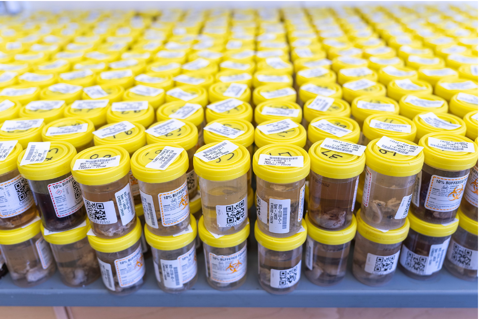 State Wildlife Agency Submissions - Wisconsin Veterinary Diagnostic ...